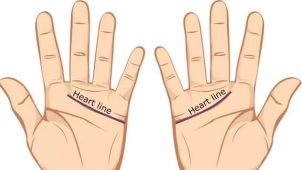 ¿Qué dicen las líneas de tu mano sobre tu destino?