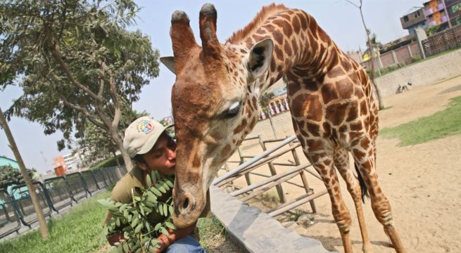 Conoce cuándo se inaugura la nueva sede del Parque de las Leyendas Huachipa
